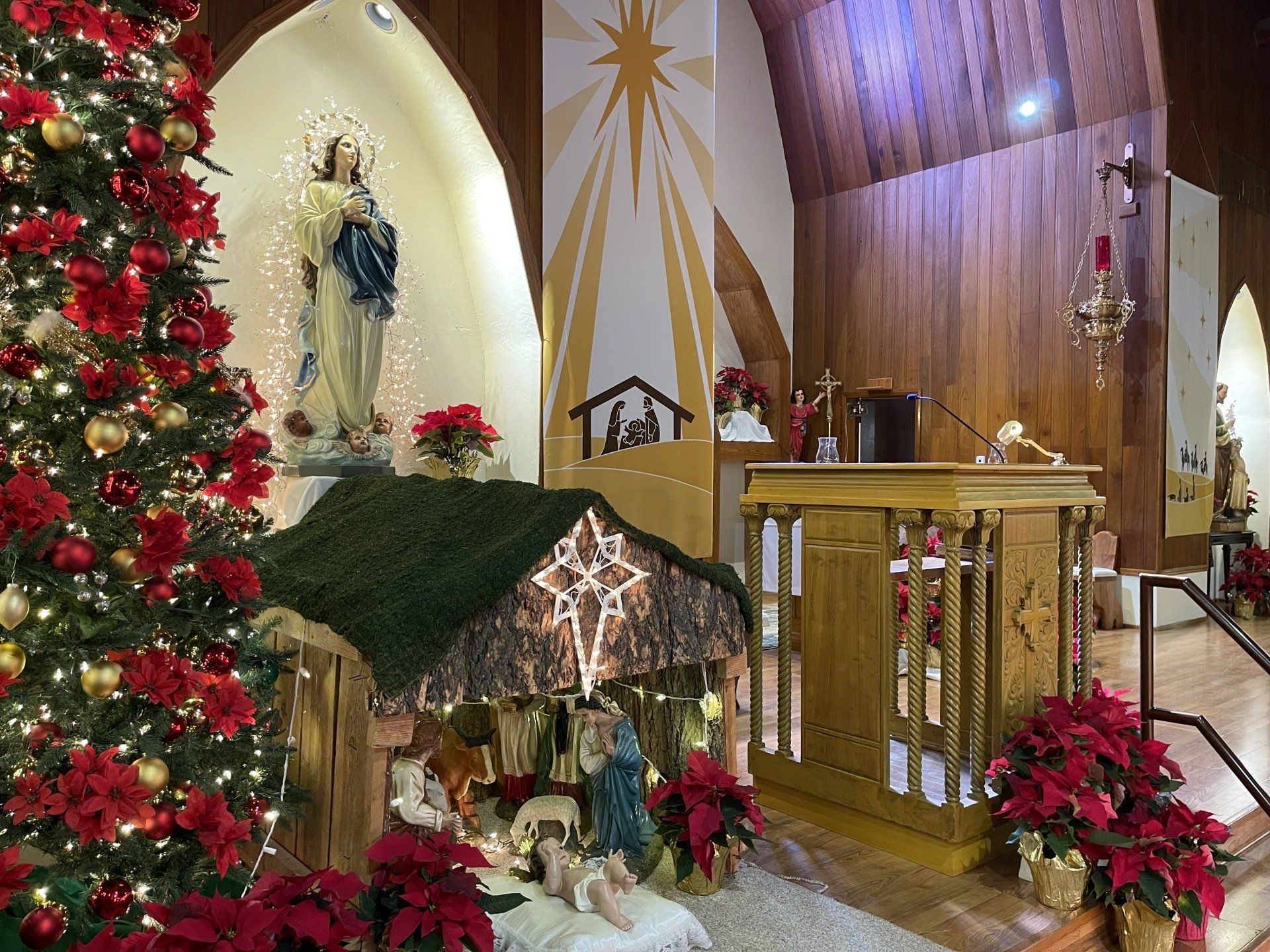 HOMILY ON THE SOLEMNITY OF CHRISTMAS 2022