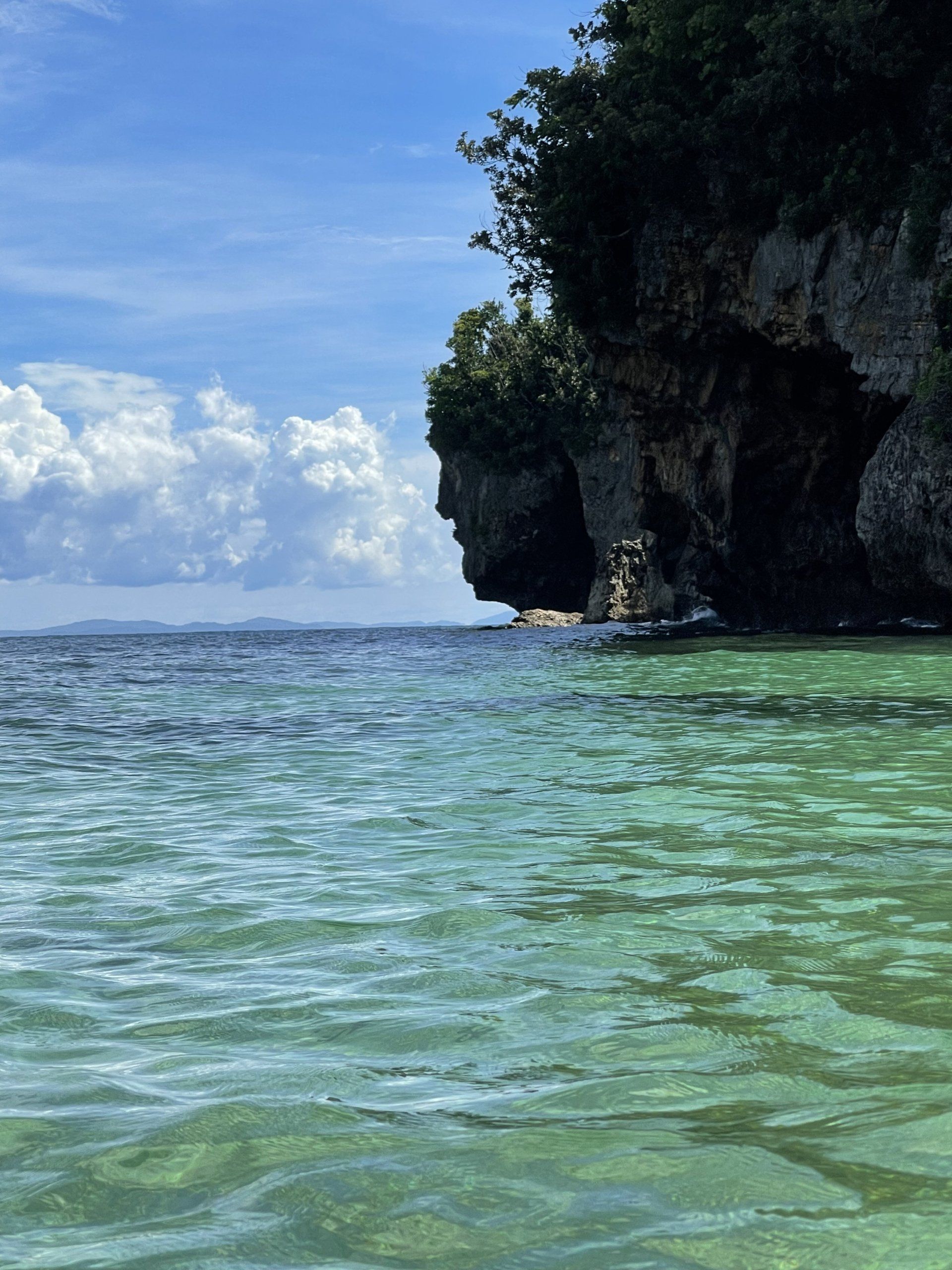 THE ASCENSION OF THE LORD