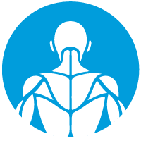 Physio and Company : About The Company
