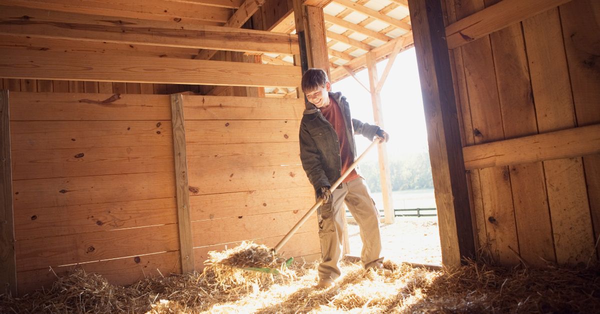 9 Reasons Why Regular Barn Manure Line Cleaning Is a Must