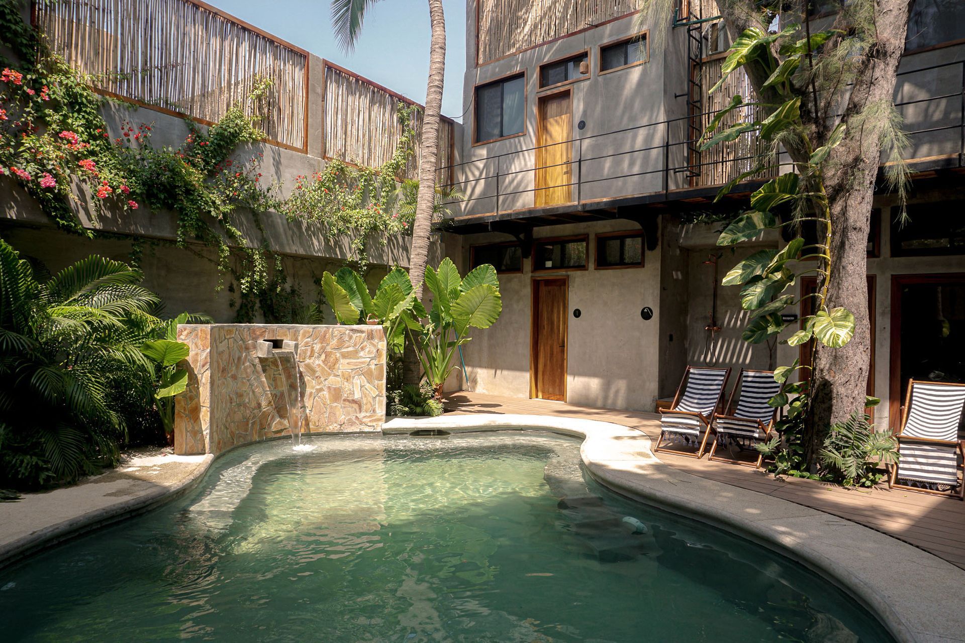 Hotel Néctar | Puerto Escondido