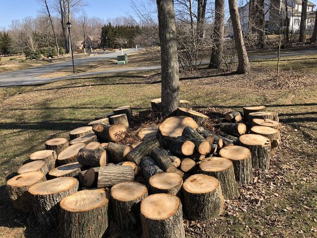 Tree Service - Gaithersburg, MD - Beautiful Country Landscape LLC