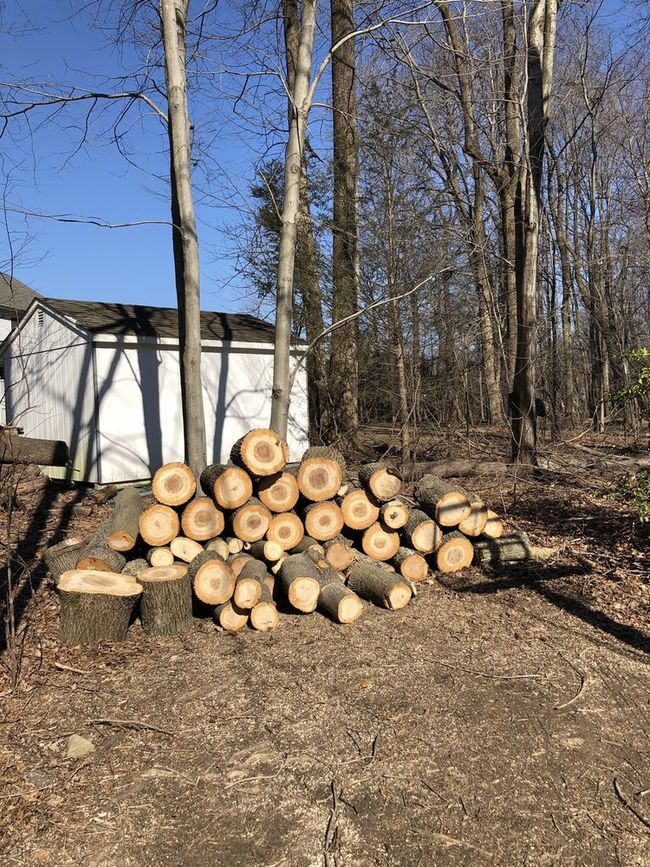 Tree Service - Gaithersburg, MD - Beautiful Country Landscape LLC