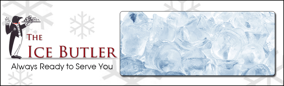 Home [www.theicebutler.com]