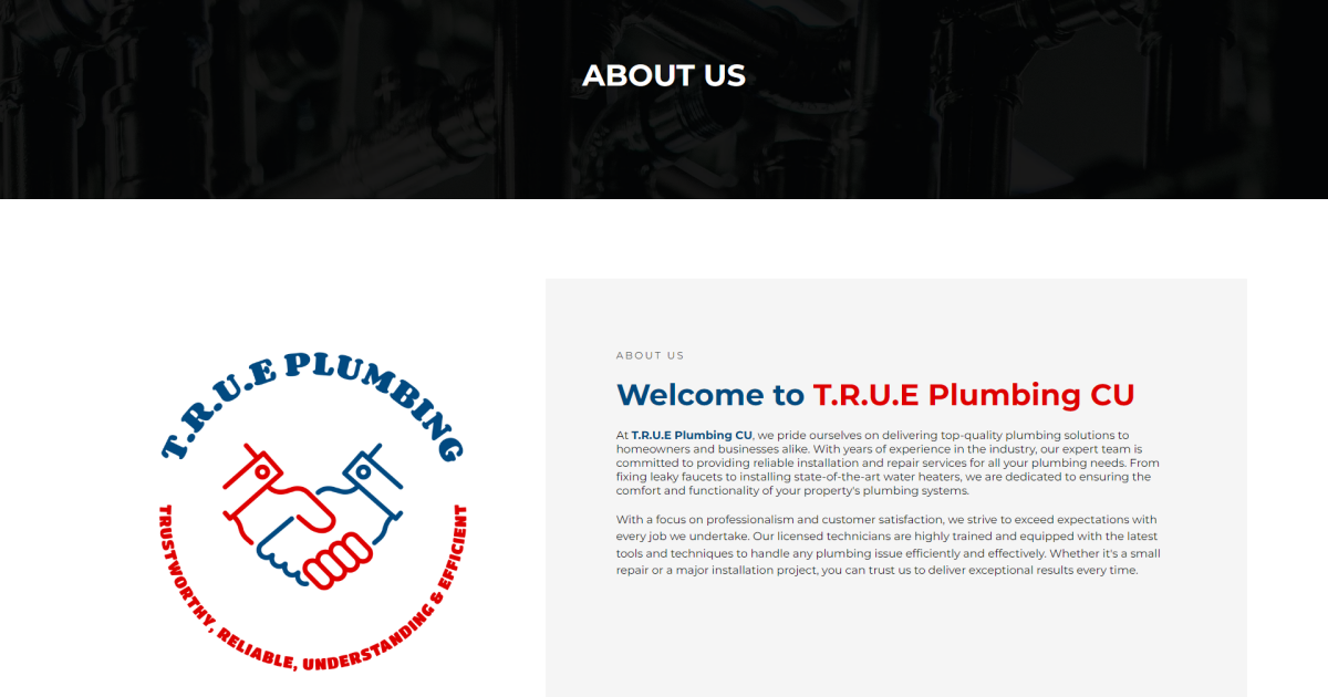 About TRUE PLUMBING: Solutions for Your Plumbing Needs