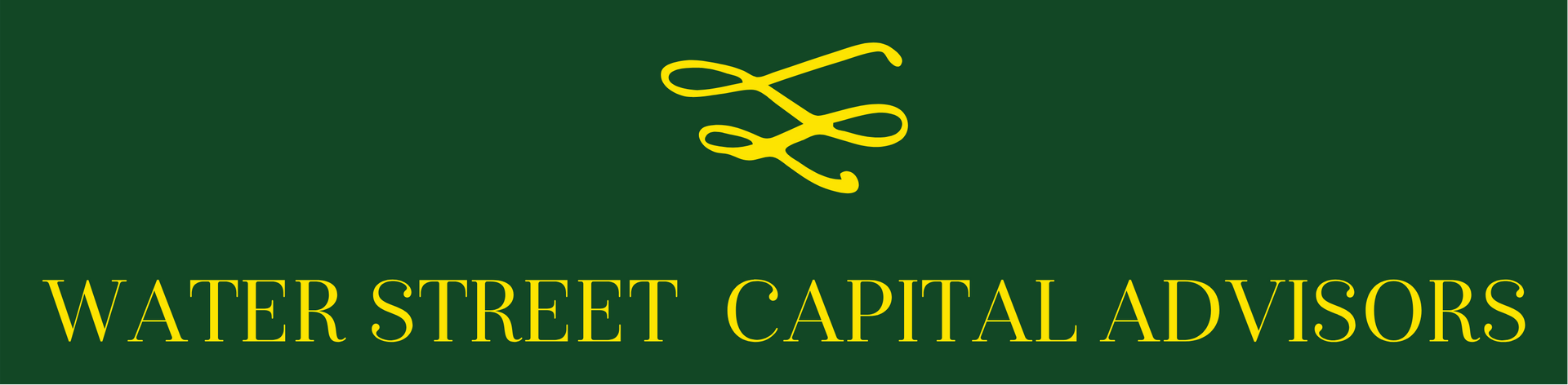Water Street Capital - M&A Advisors