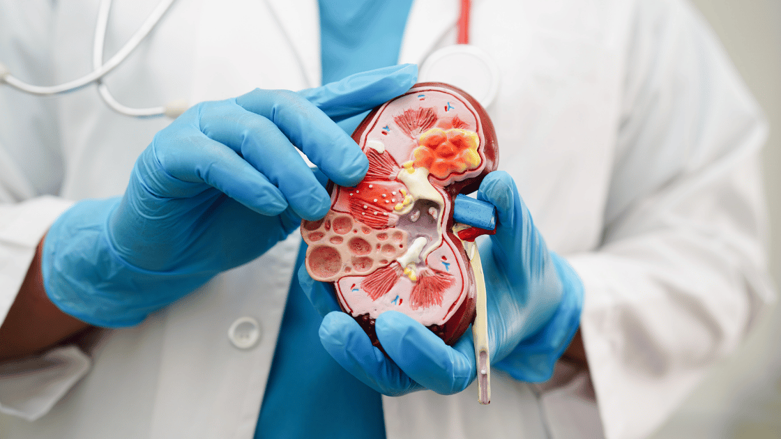 Cos'è la Creatinina, valori normali e come fare l'esame