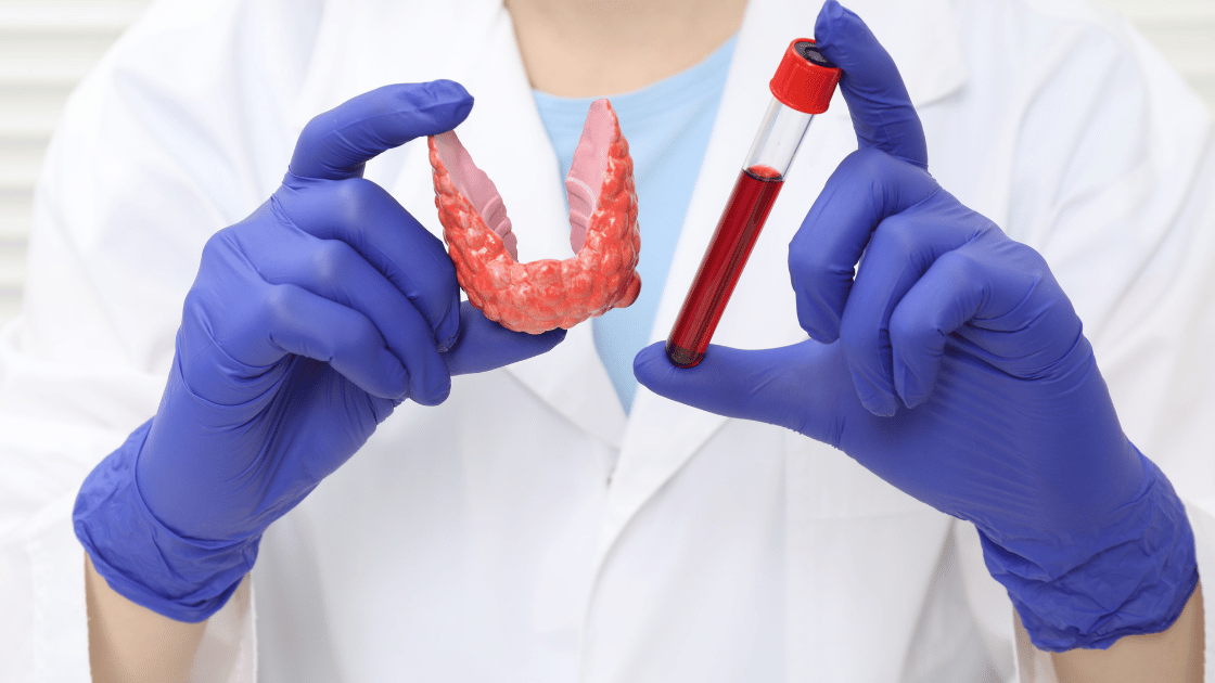 L’FT3, l’ormone tiroideo attivo che regola metabolismo ed energia
