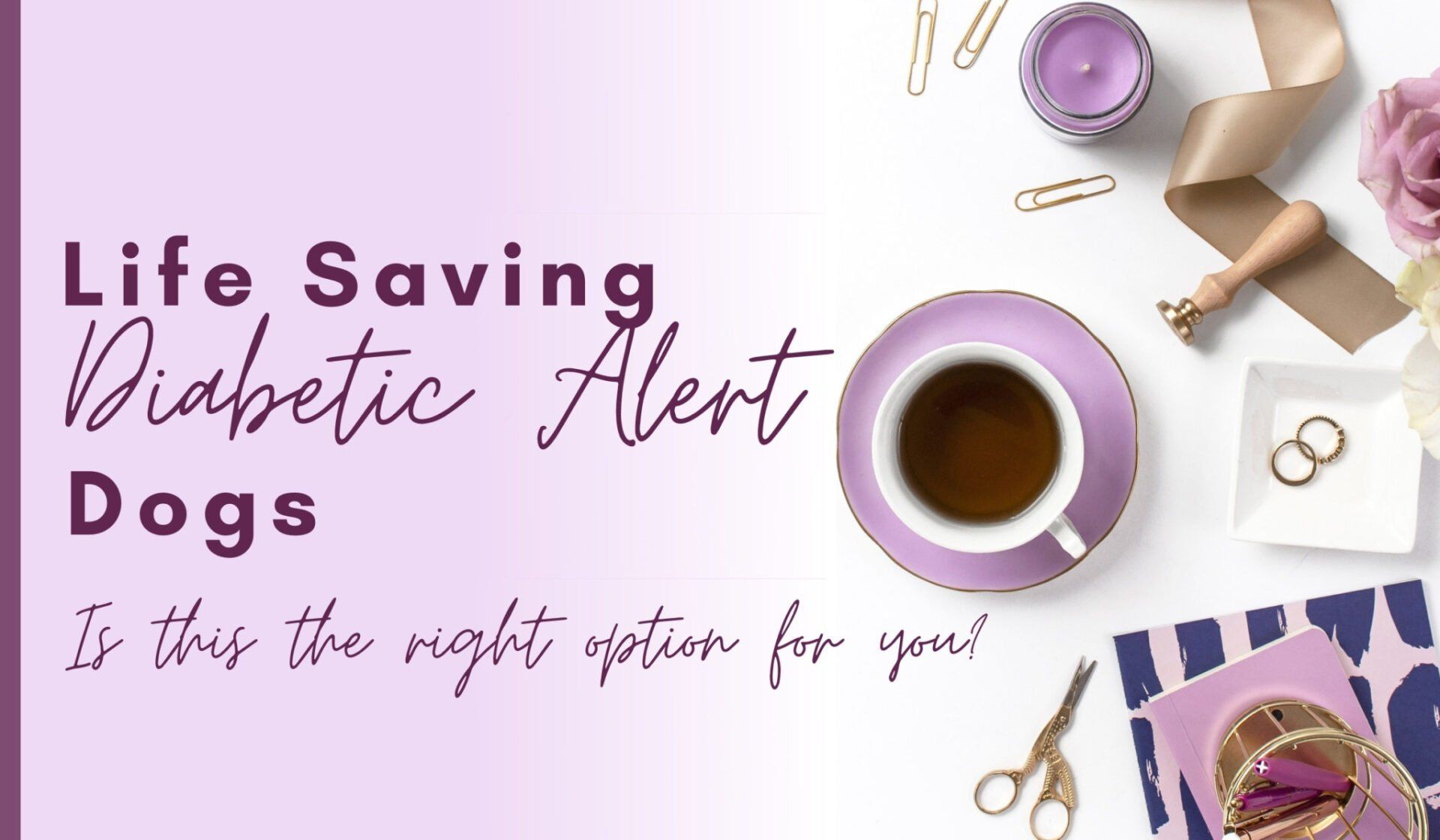 Life Saving Diabetic Alert Dogs