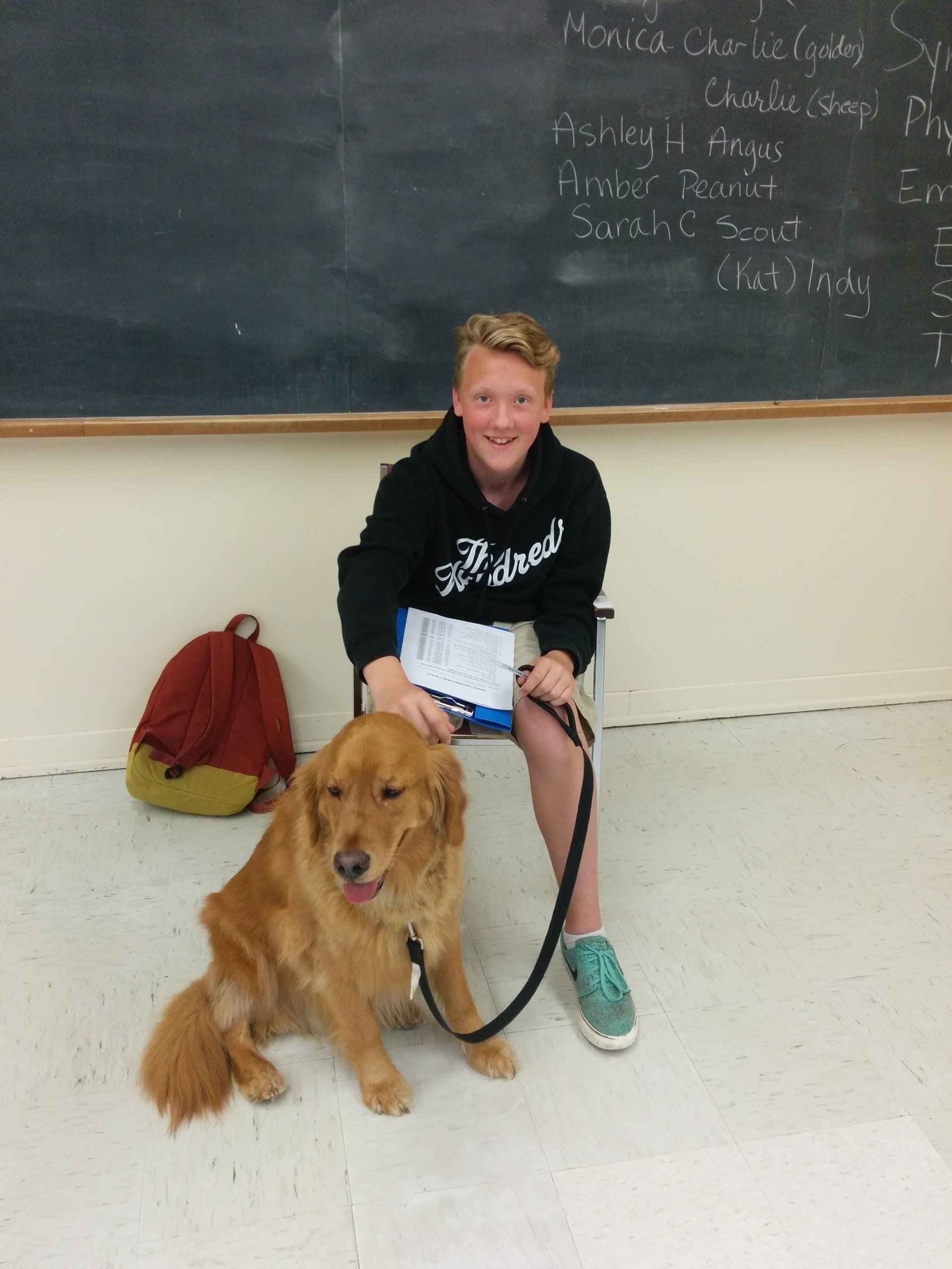 How the Animal Human Connection Helps | AAI