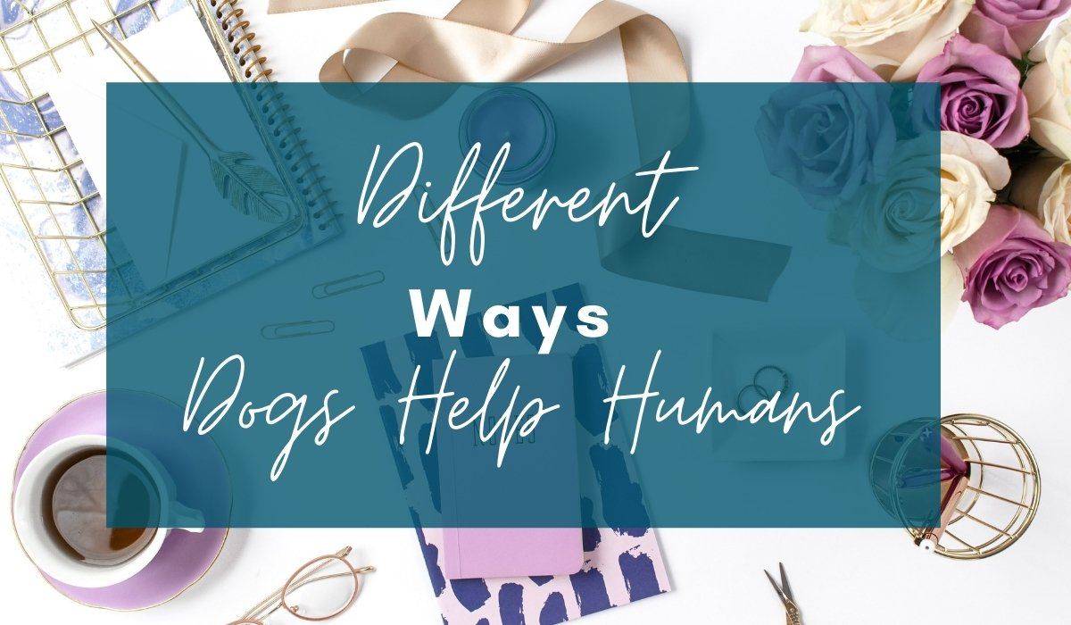 How Dogs Help Humans