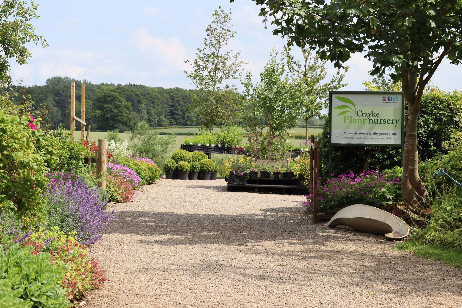 Crayke Plant Nursery Crayke Plant Nursery