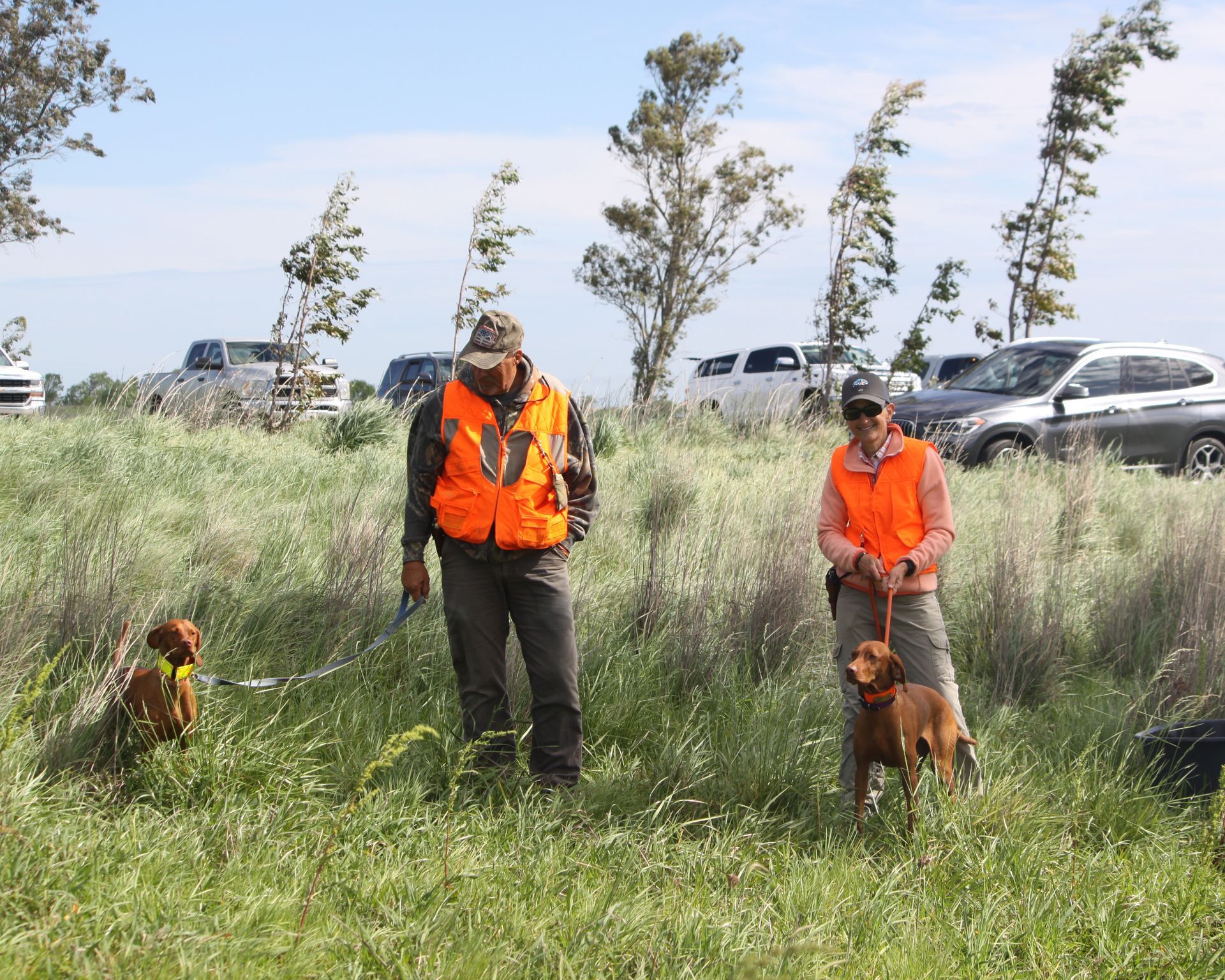 Photo Gallery | Vizsla Club of Northern California
