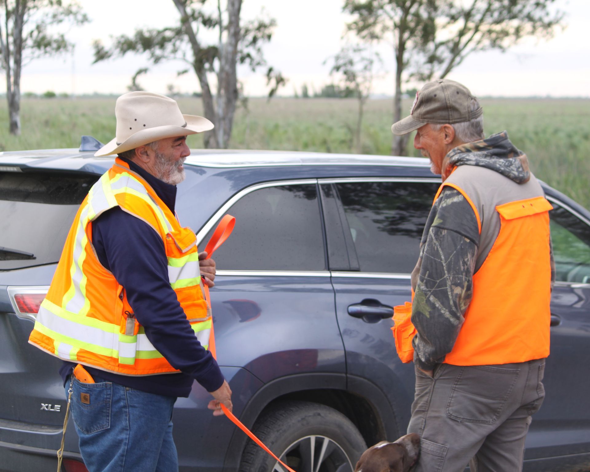 Photo Gallery | Vizsla Club of Northern California
