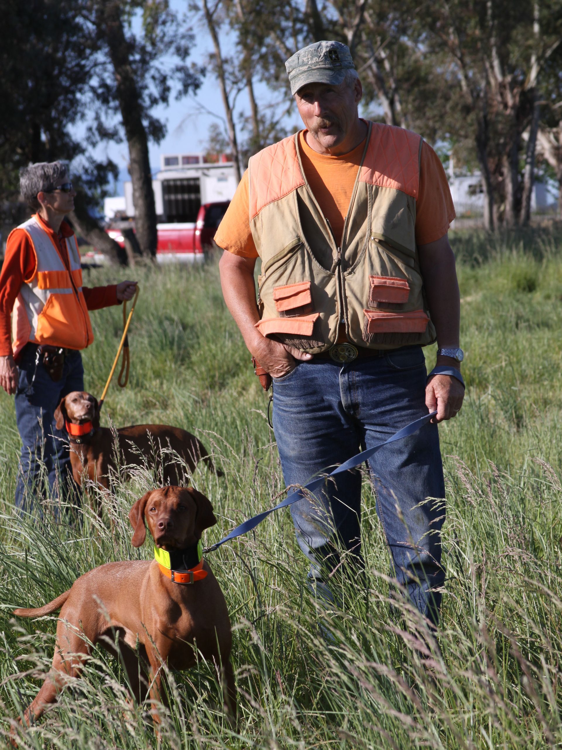 Photo Gallery | Vizsla Club of Northern California