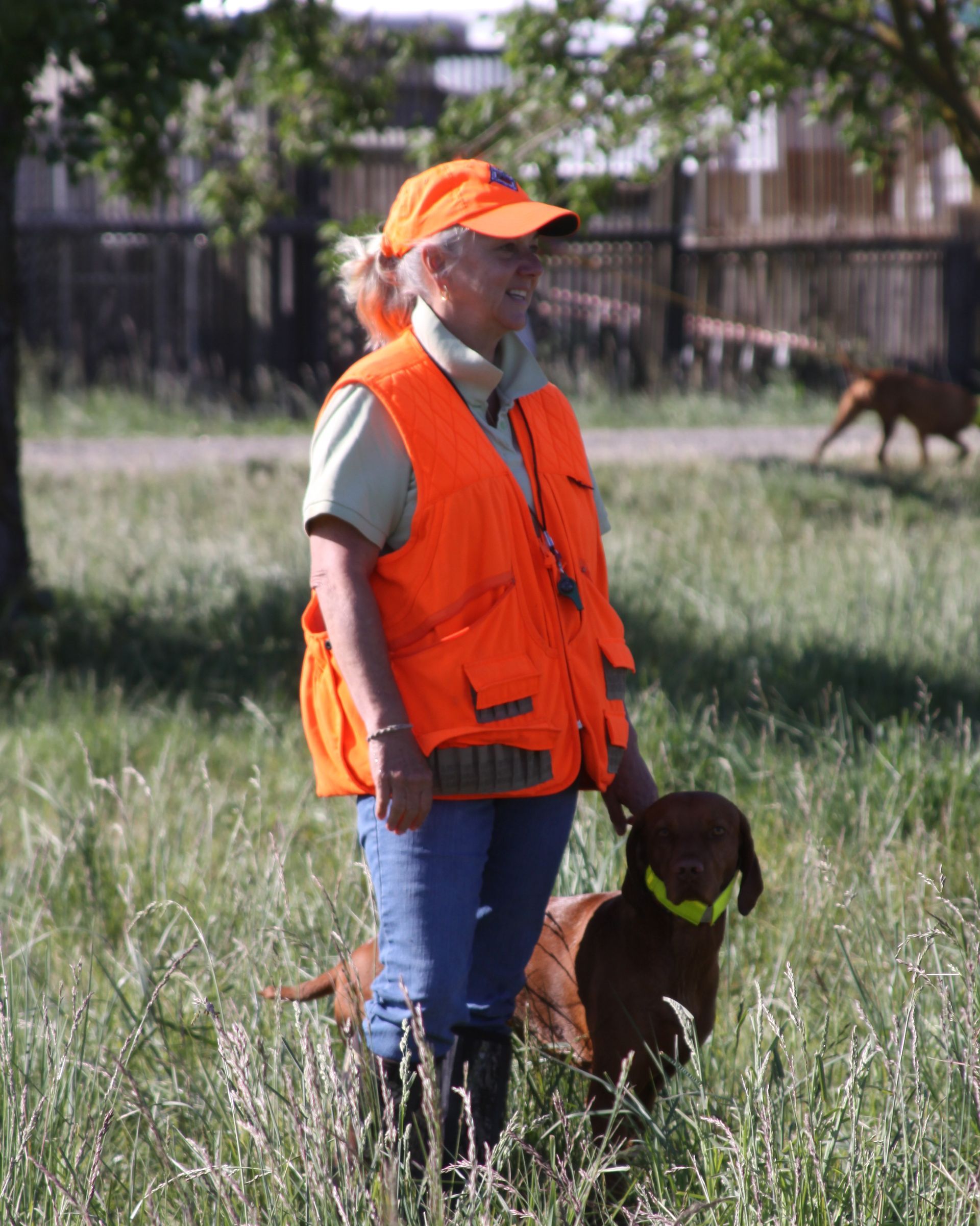 Photo Gallery | Vizsla Club of Northern California