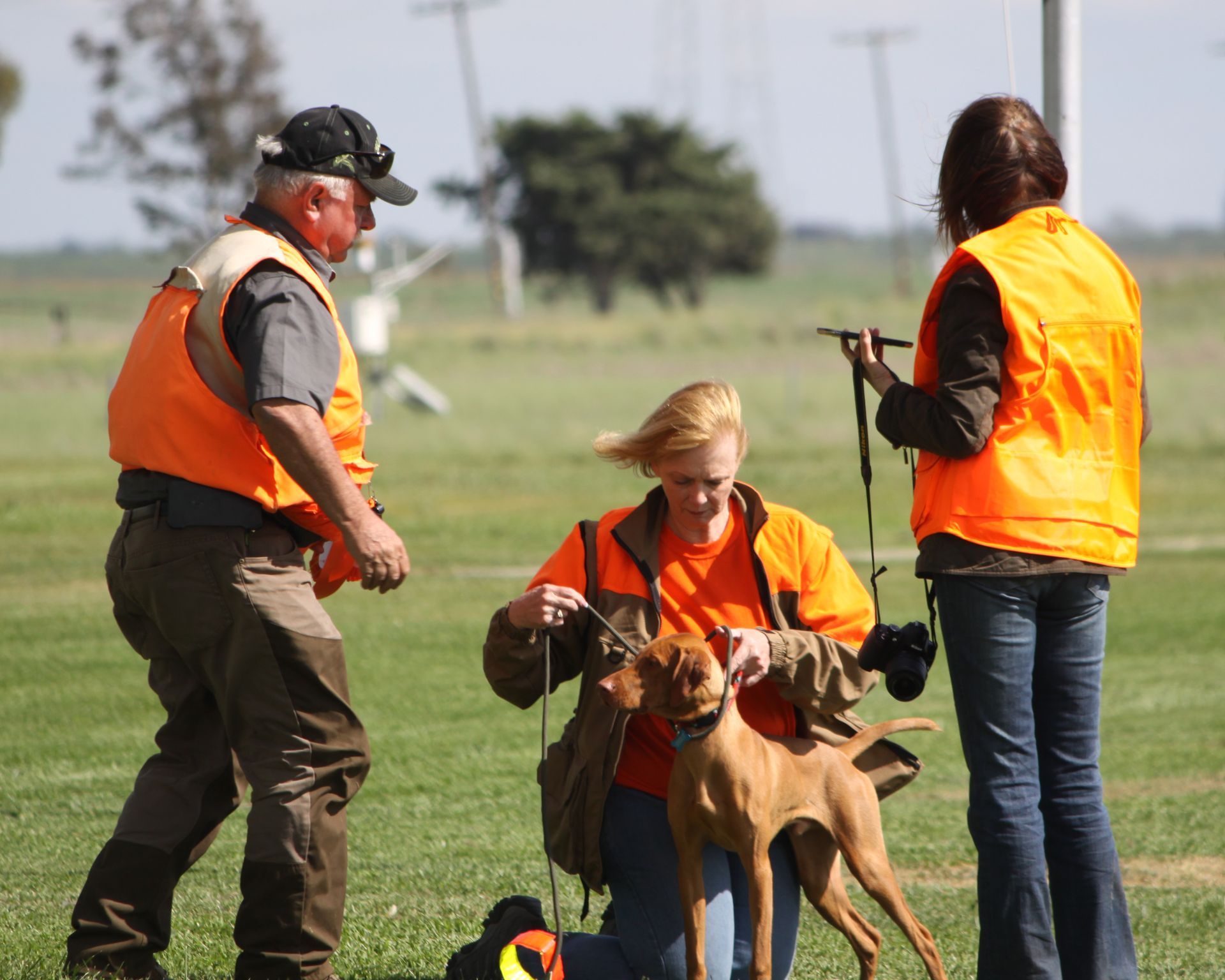 Photo Gallery | Vizsla Club of Northern California