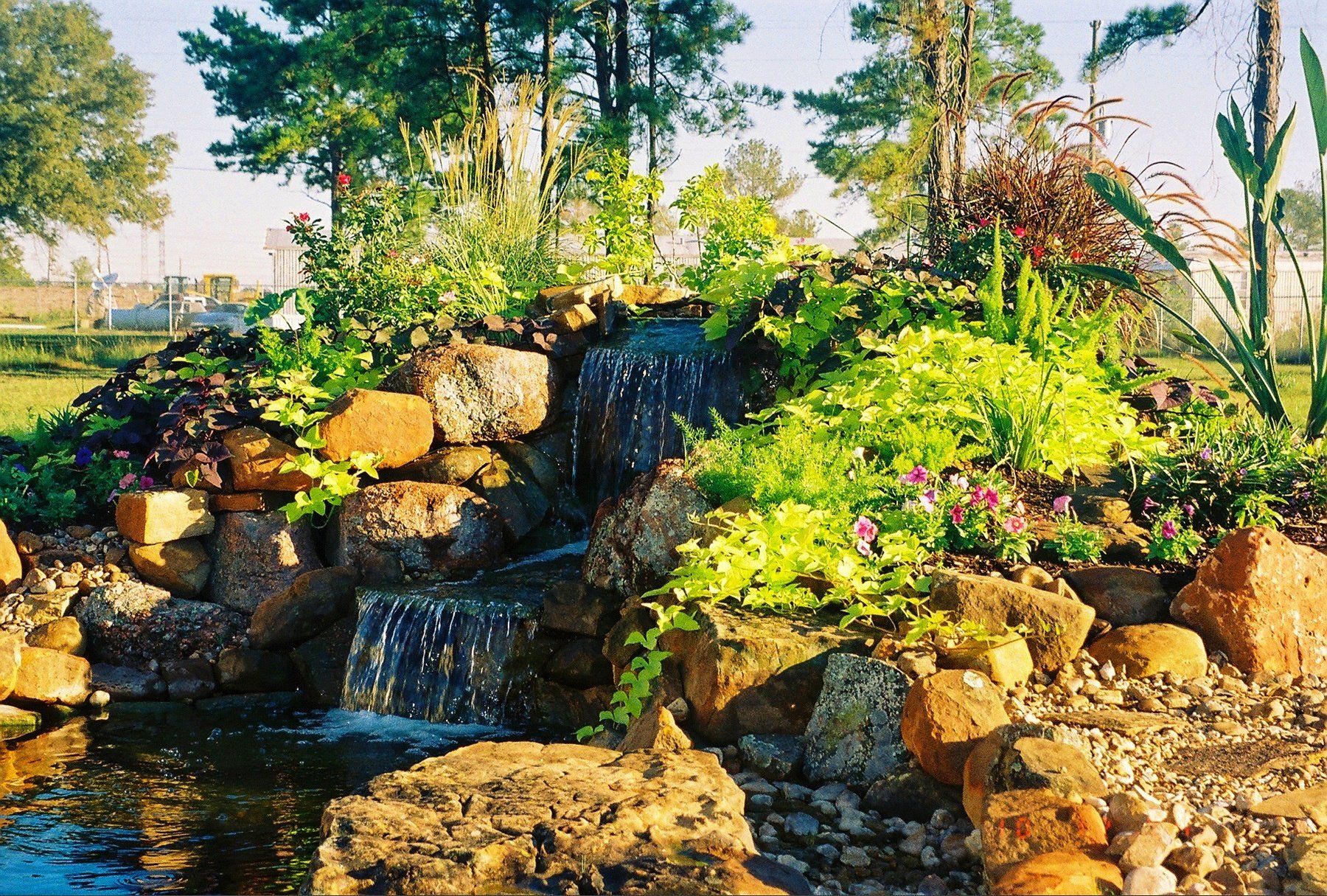 Commercial Garden Design in Houston, TX | Absolute Lawncare & Landscaping