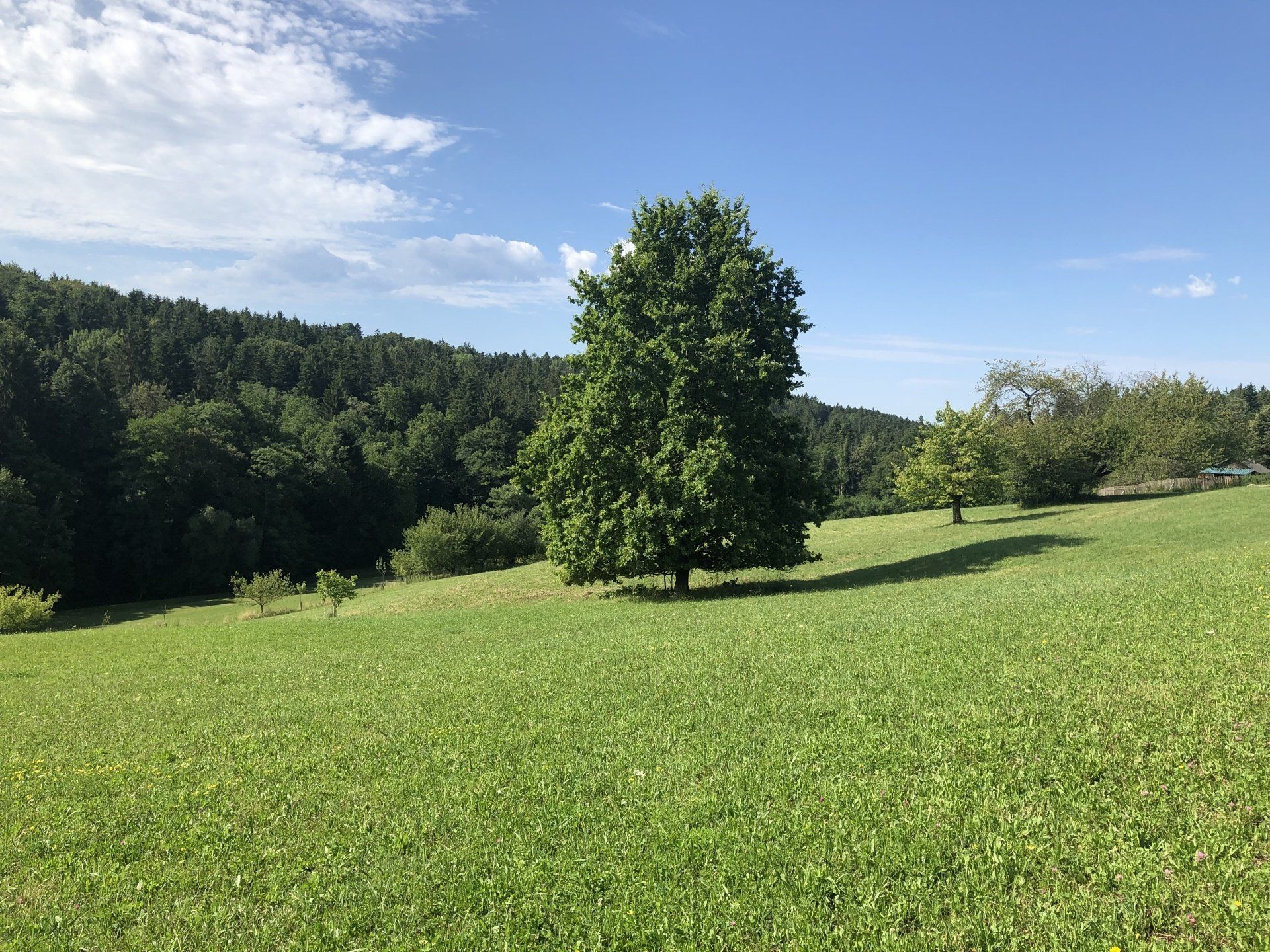 Raberhof der Naturbauernhof in Hart bei Graz