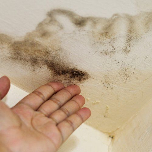 Damp Proofing Lincolnshire | Paul Newman Damp Proofing