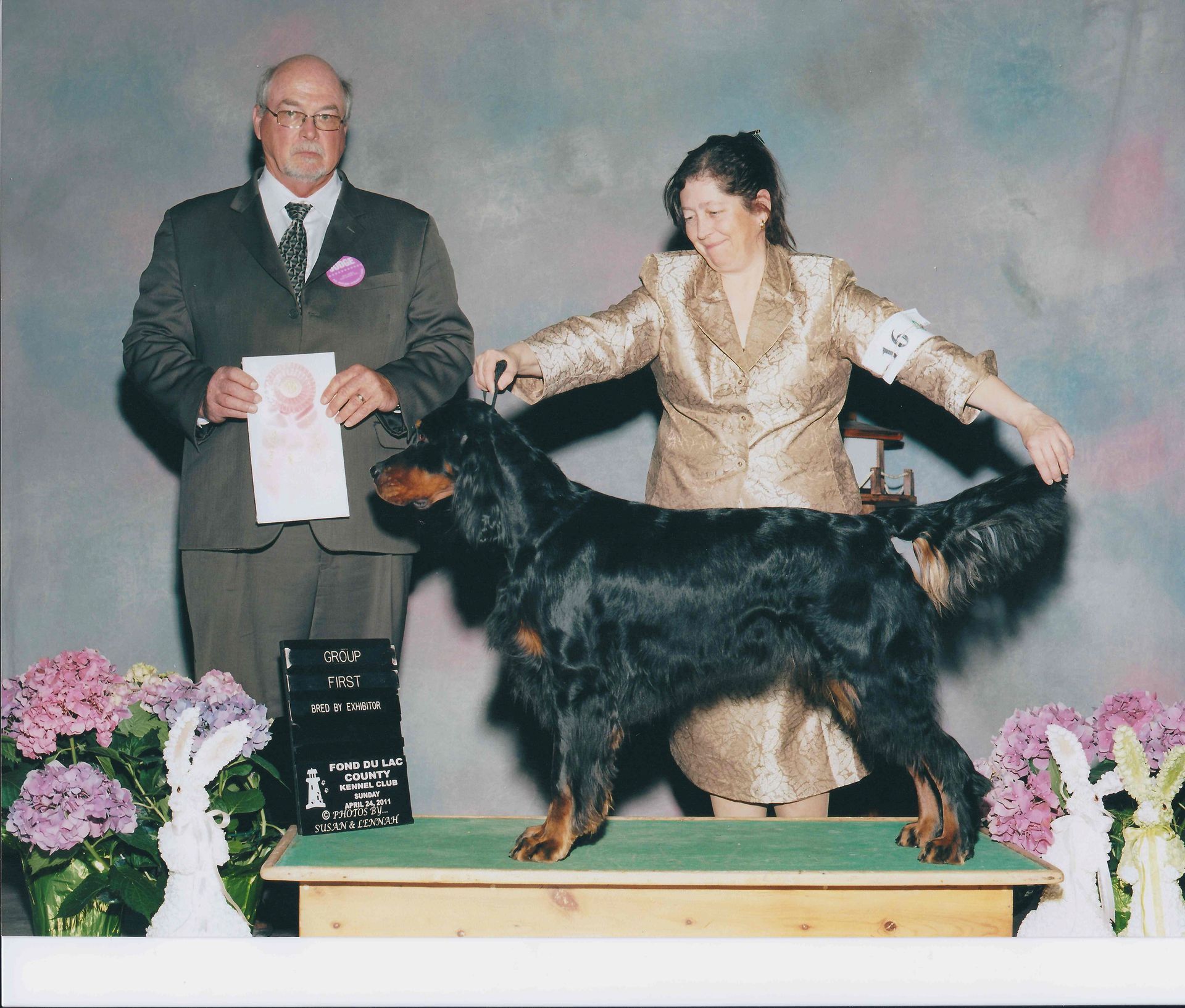 Lyric Gordon Setters Litters