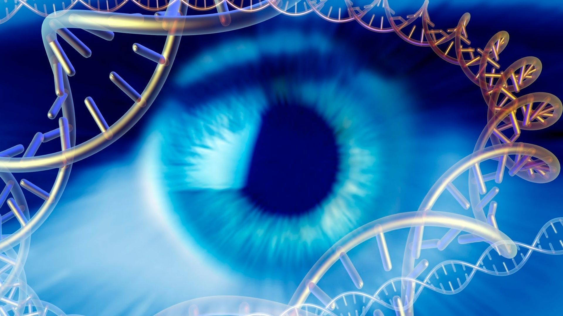 Is Poor Eyesight Genetic?