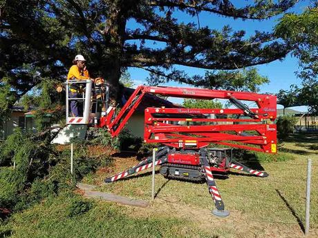 Tree Services Rockhampton | Tree Lopping & Removal | Browns Vegetation