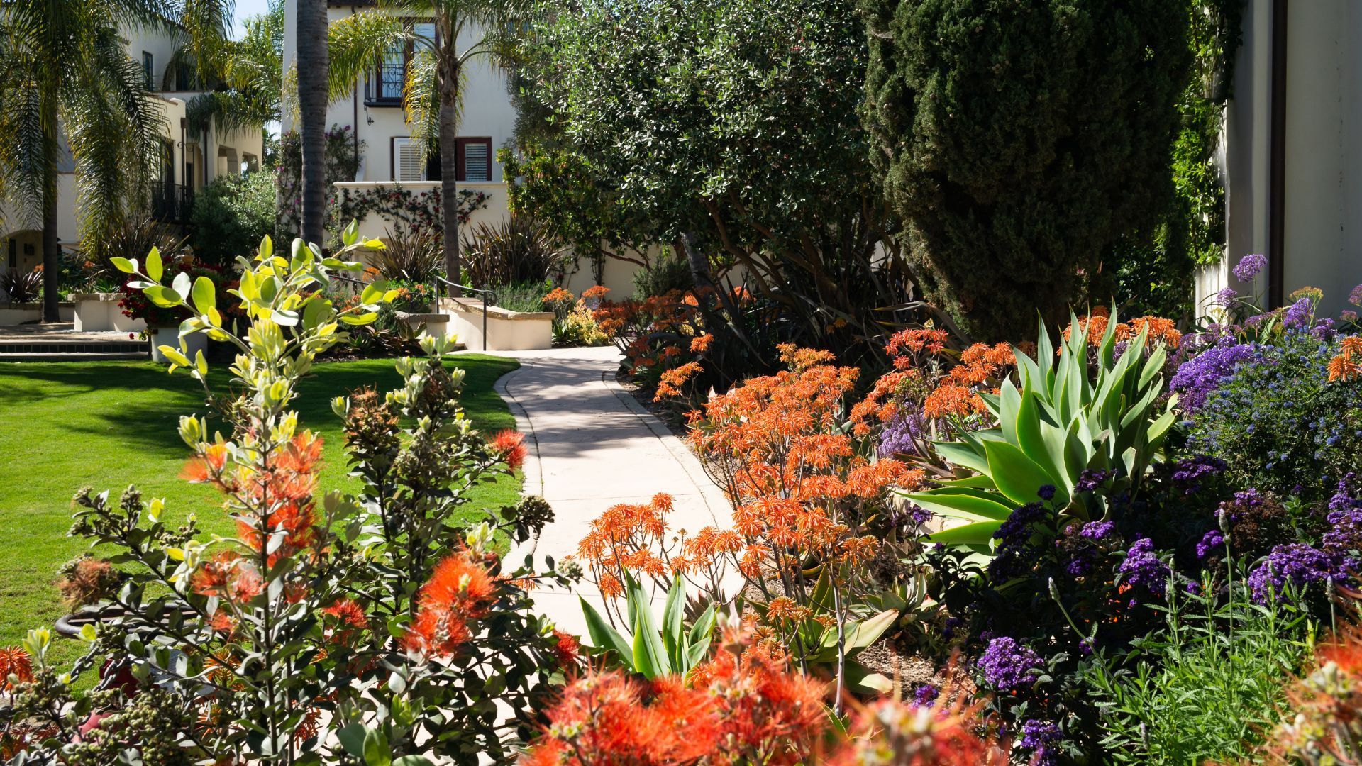 Budget-Friendly Mesa Landscaping: Key Considerations