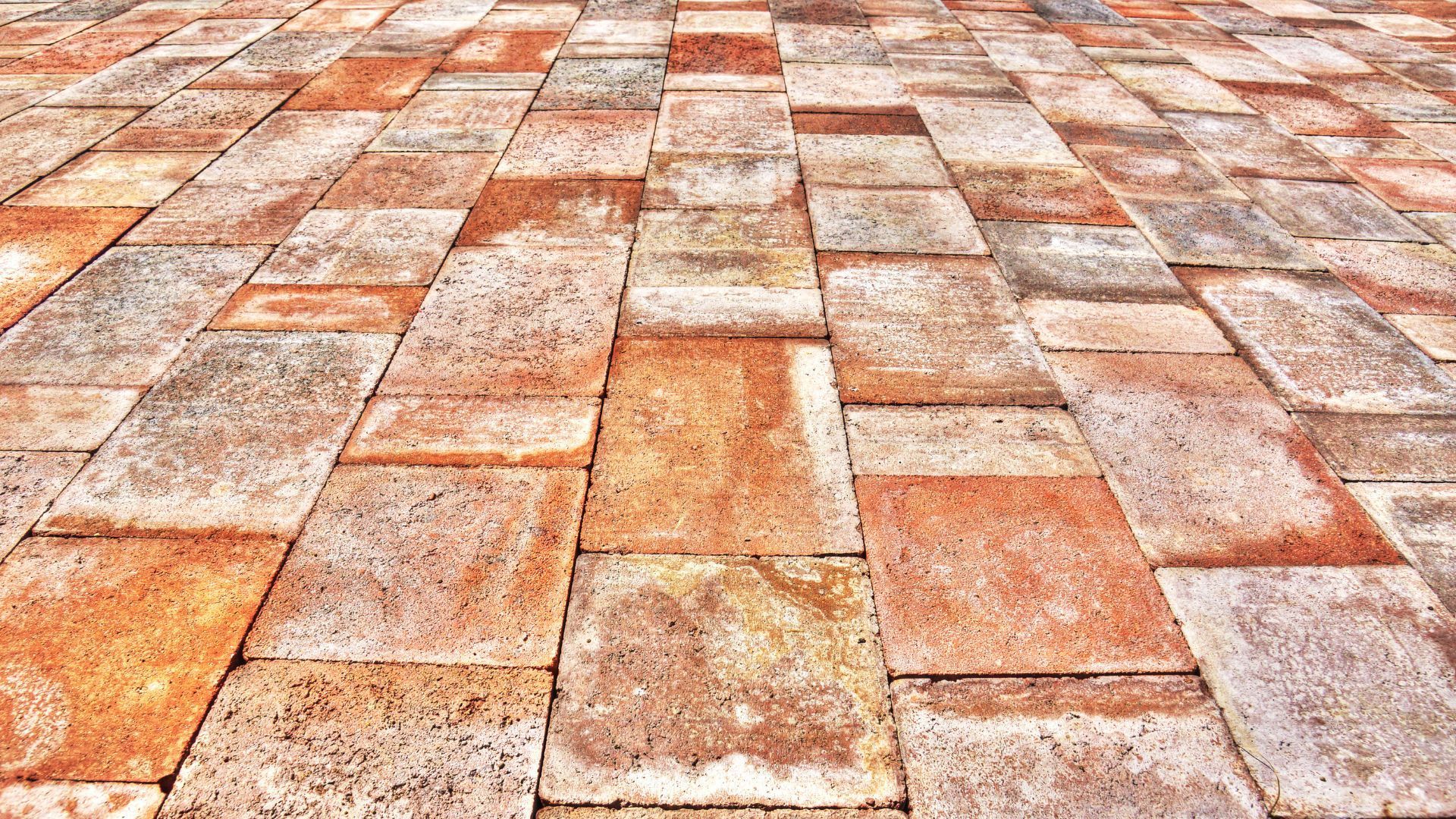 Innovative Patio and Garden Designs for Mesa Homes