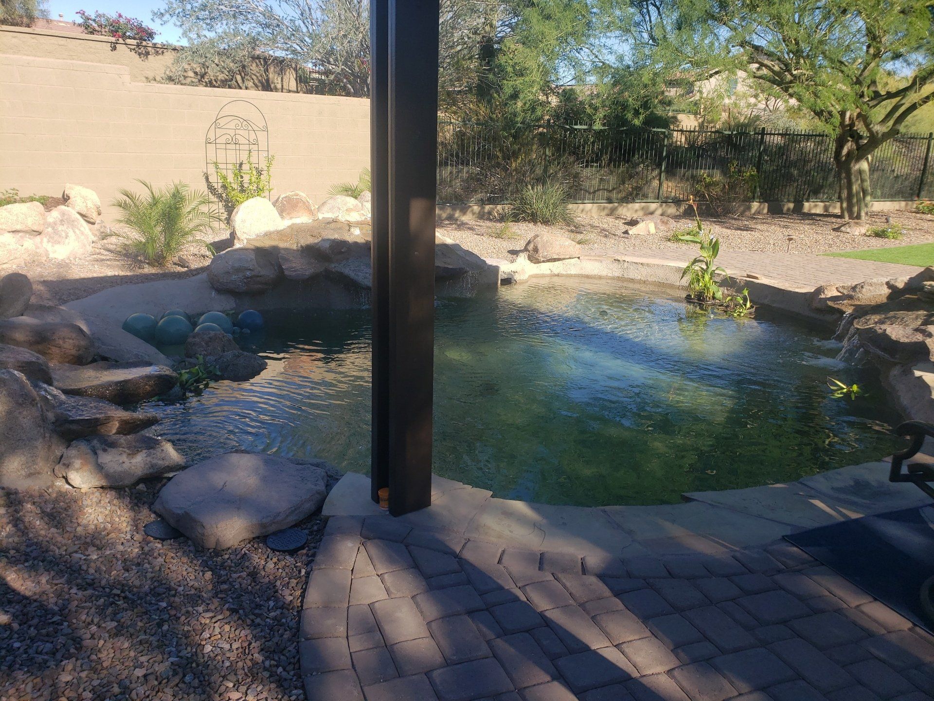Gardening Tips For Homeowners In Mesa Az