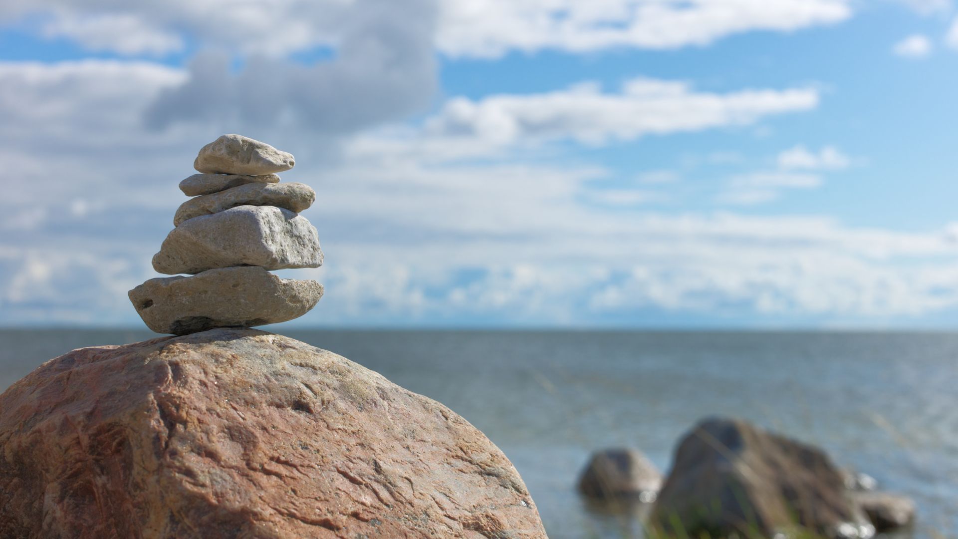 Landscape Design Principles: Creating Harmony and Balance