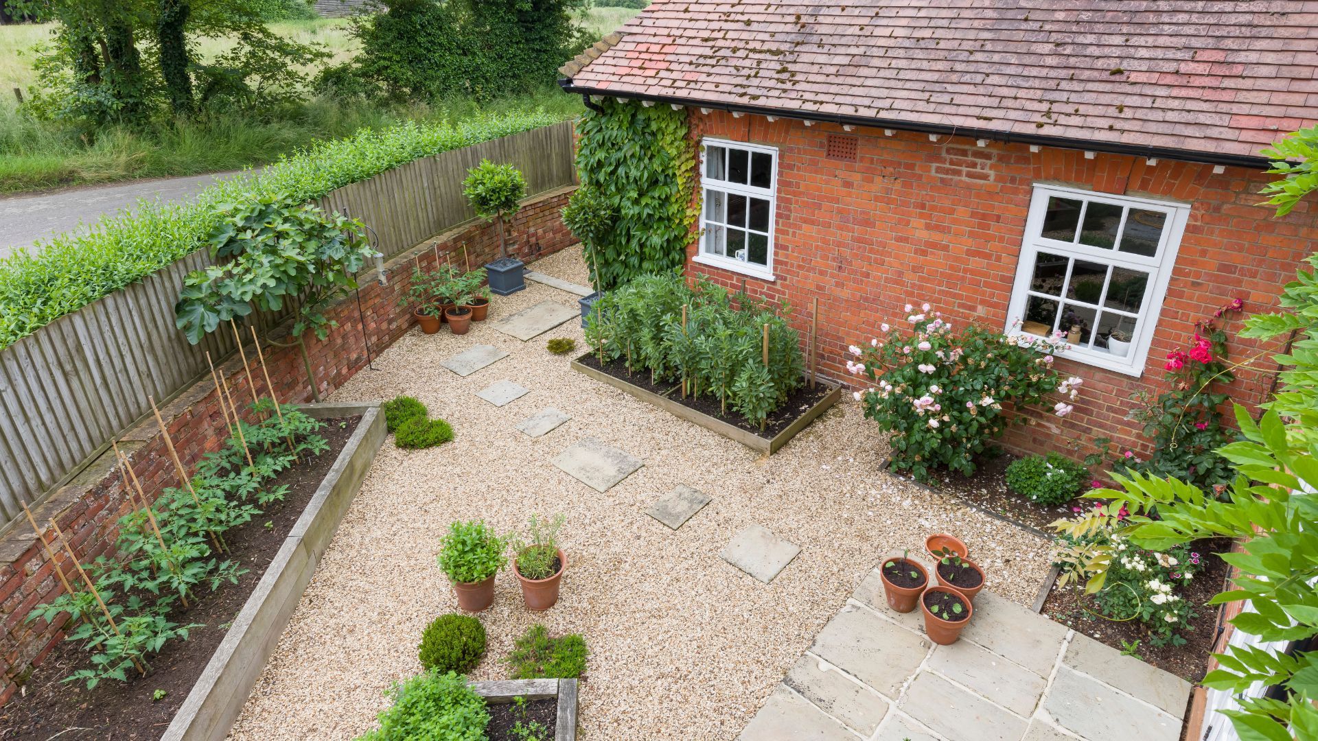 Utilizing Color Theory in Garden Planning