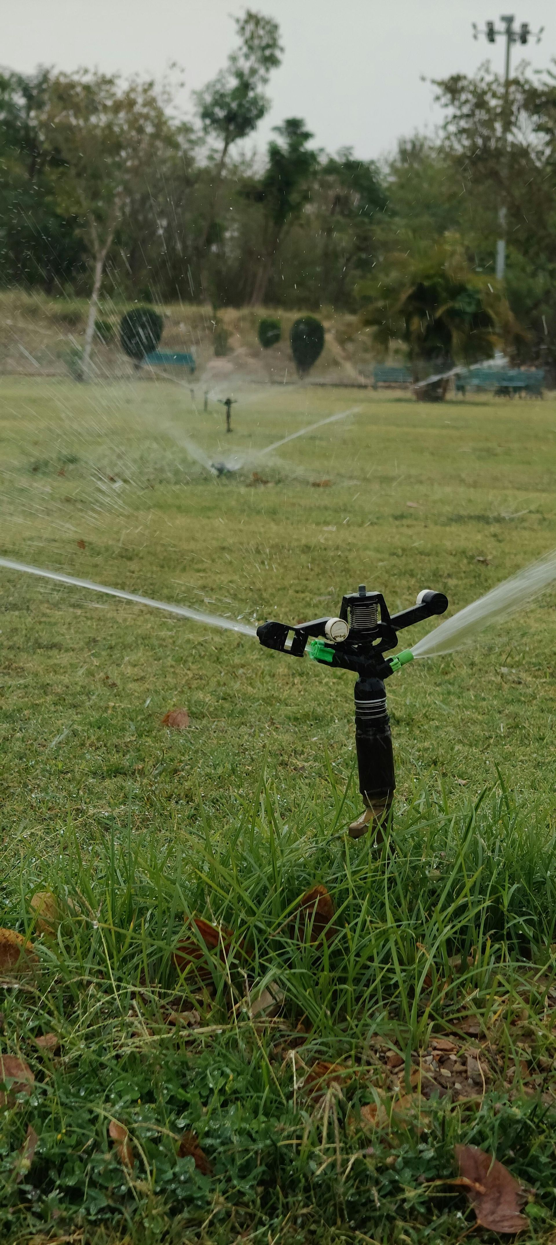 Smart Irrigation Systems: How Technology Can Simplify Watering