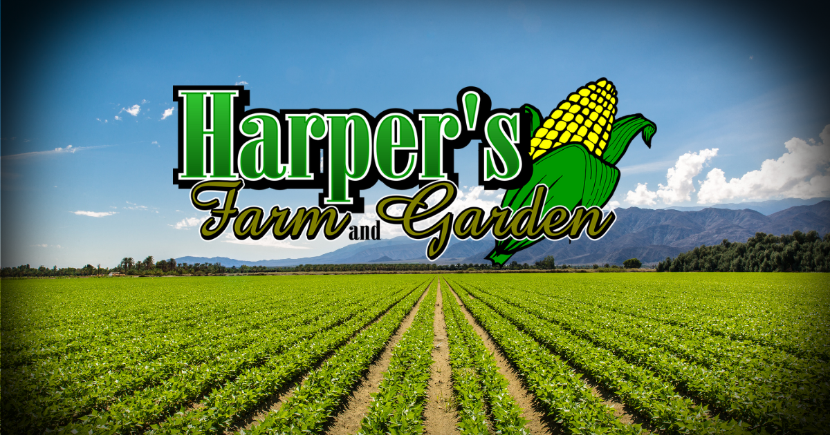 This Weeks Harvest | Harpers Farm | Lancaster, MA