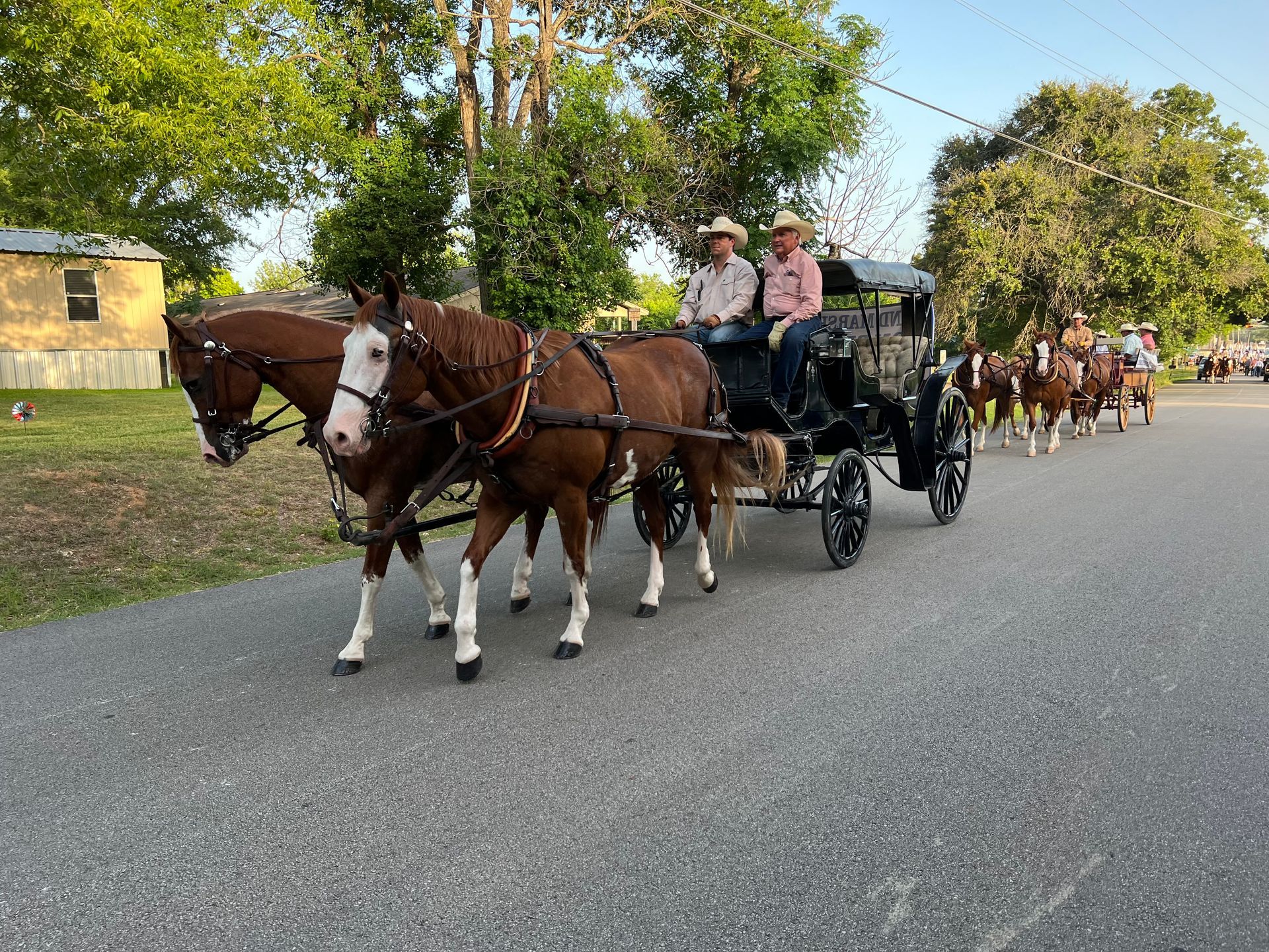 Horse-Drawn Carriage | Benbrook, TX | 817-249-2490