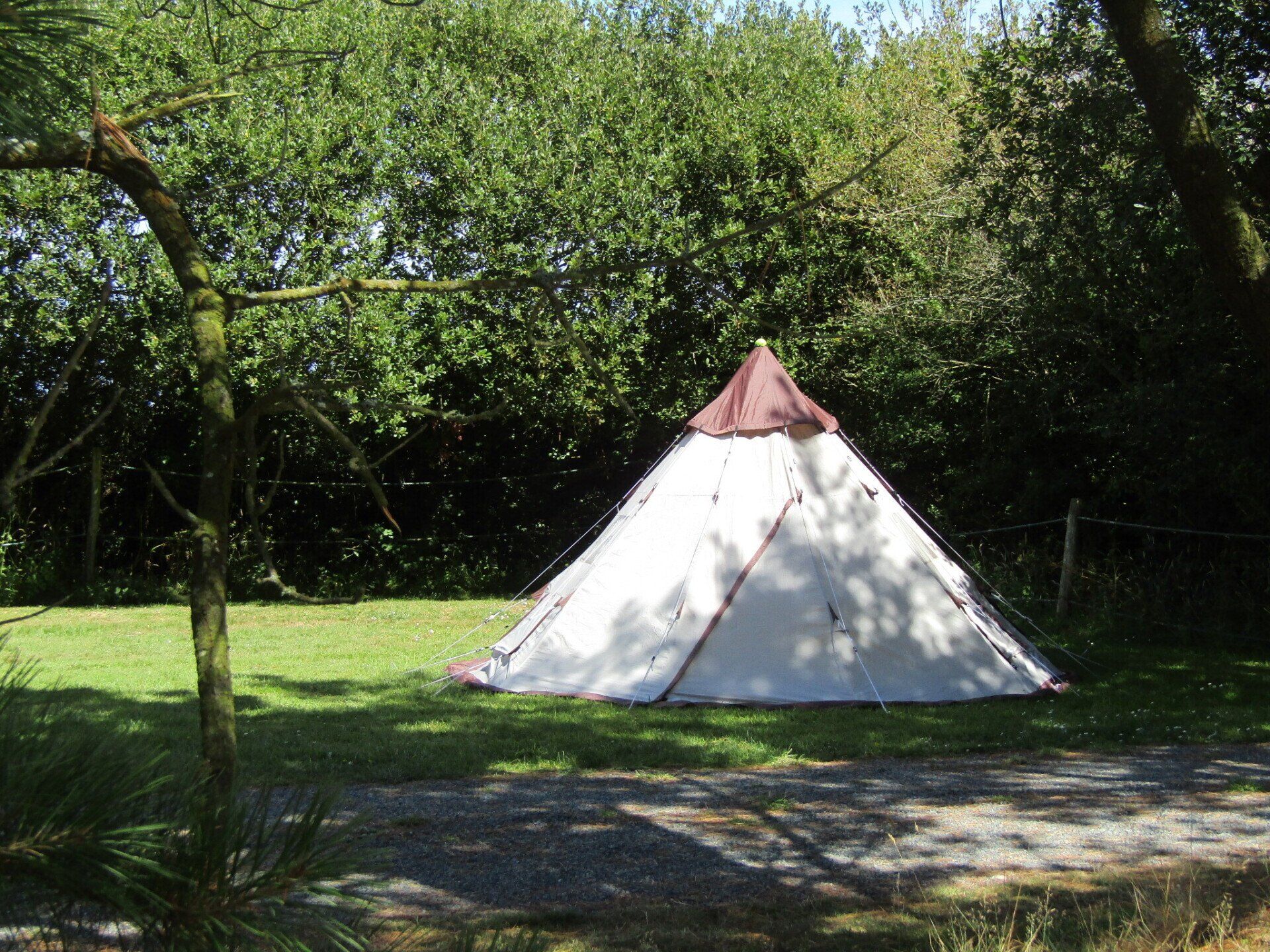 Camping and caravan sites Coverack, Helston, Cornwall: Little Trevothan