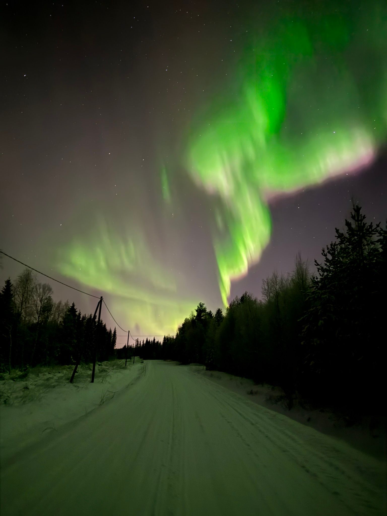 Raanu Experiences - Authentic Private Tours in Lapland