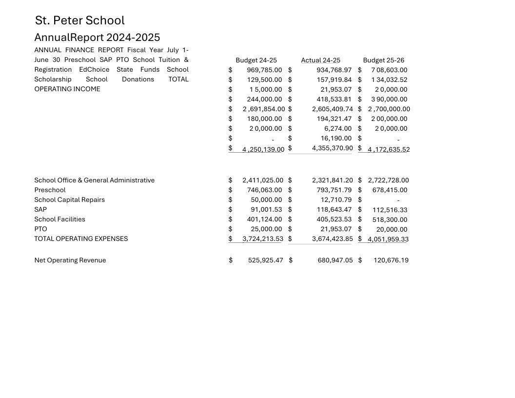 St. Peter Financial Reports