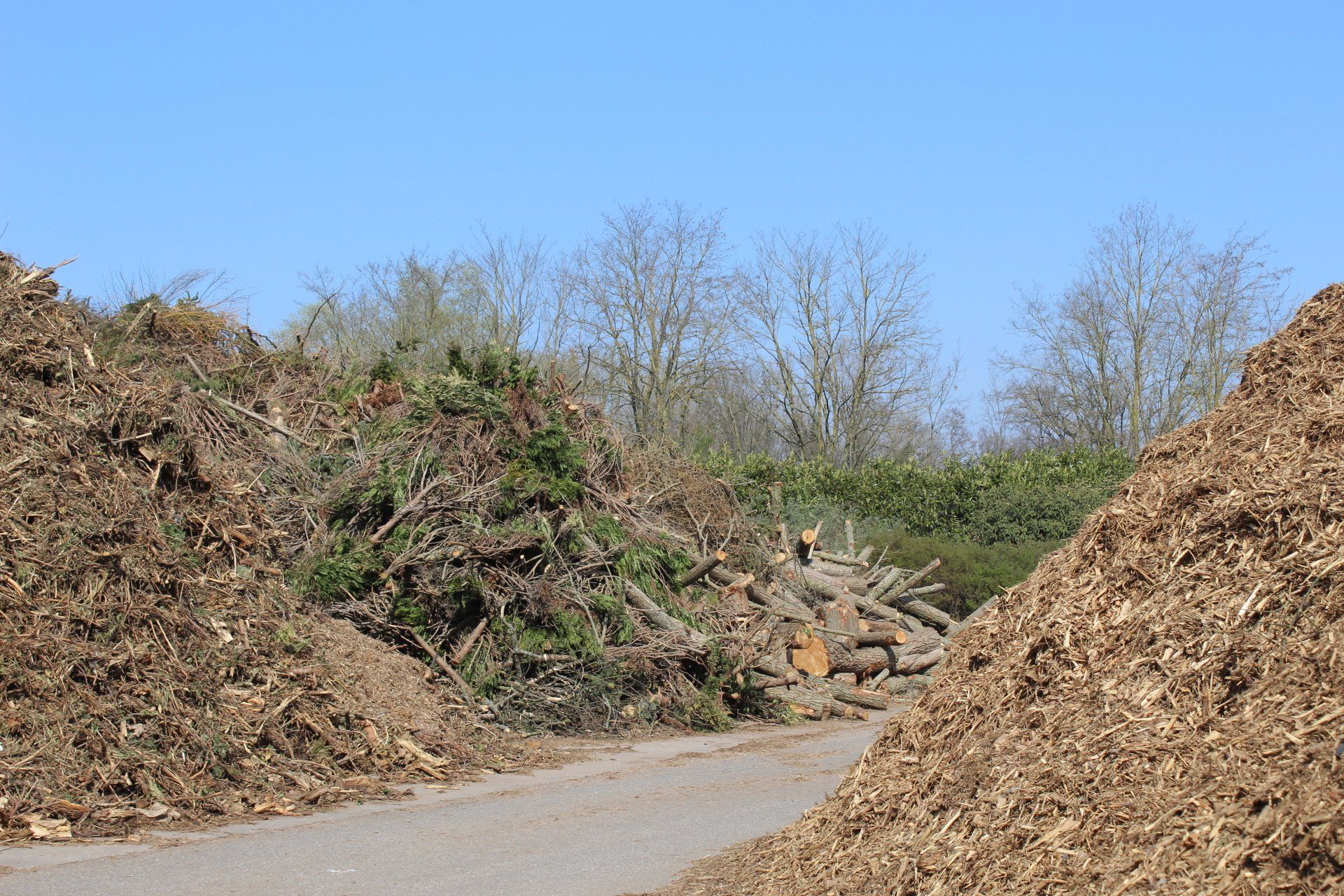 Recyclage des déchets verts | VITA COMPOST