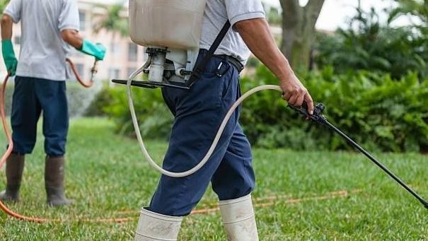 Cunningham Termite & Pest Control - Top Rated Pest Control - Cape Cod ...