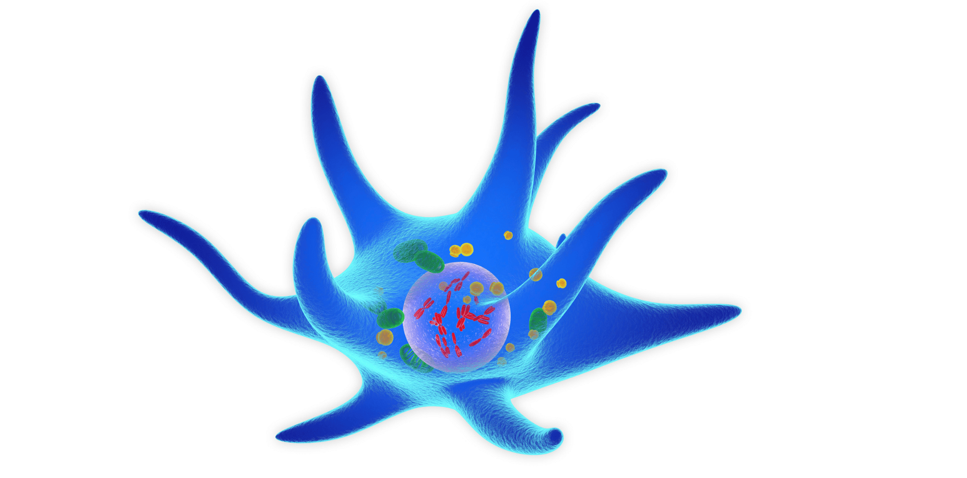 Understanding Merkel Cell Carcinoma: Navigating the Rare