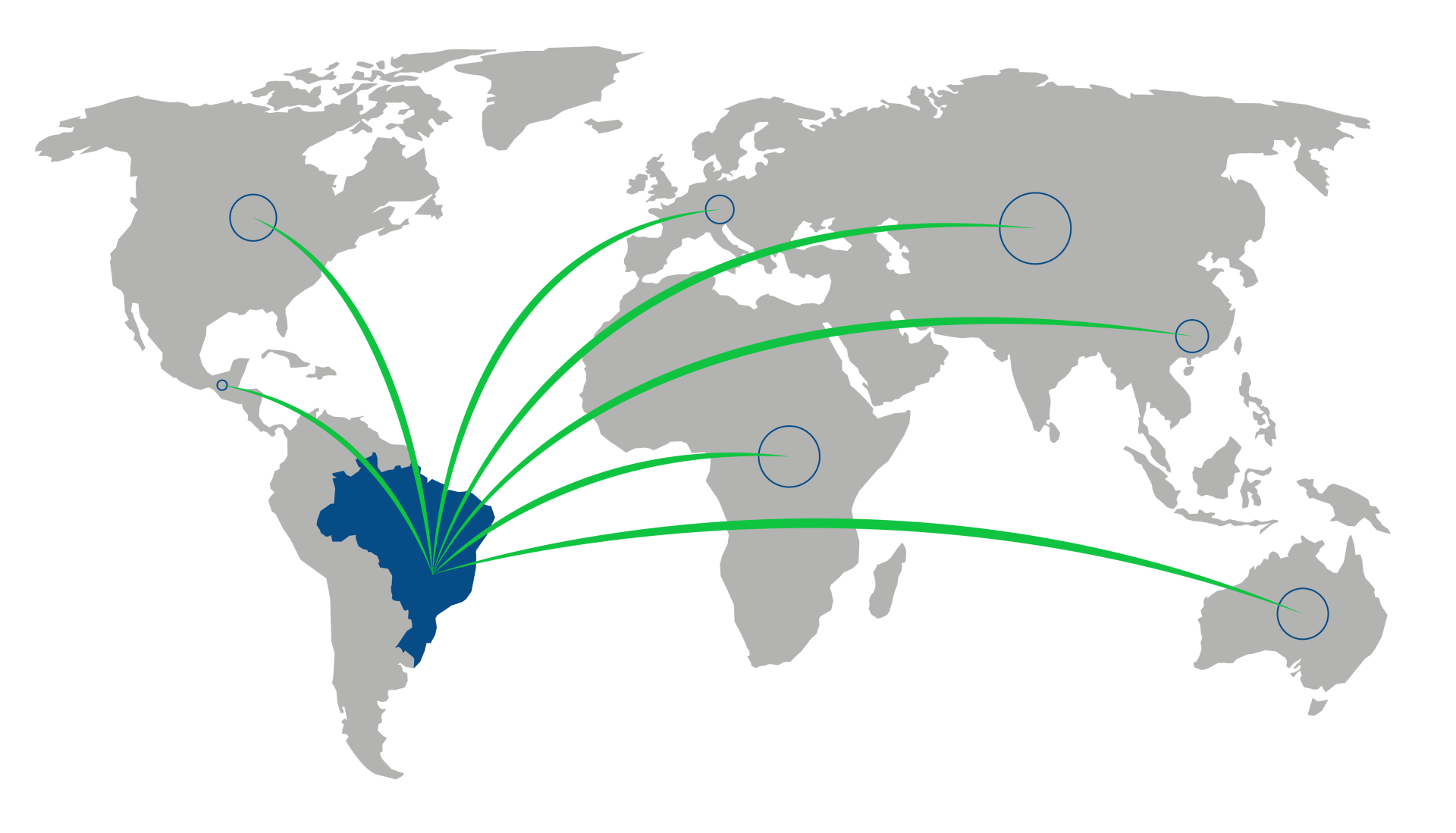 Hospedagem de Registro de Produtos ANVISA | QLS Brazil