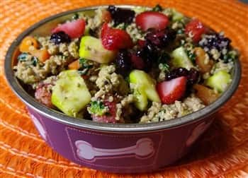 Homemade Food for Pugs | Healthy Home Recipes