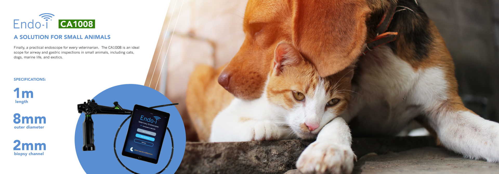 Flexible Video Endoscopy