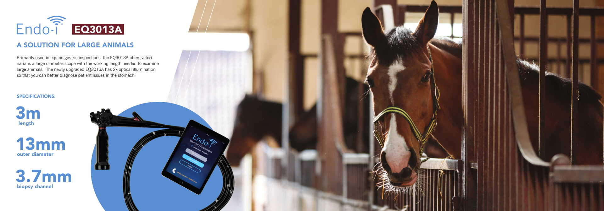 Flexible Video Endoscopy