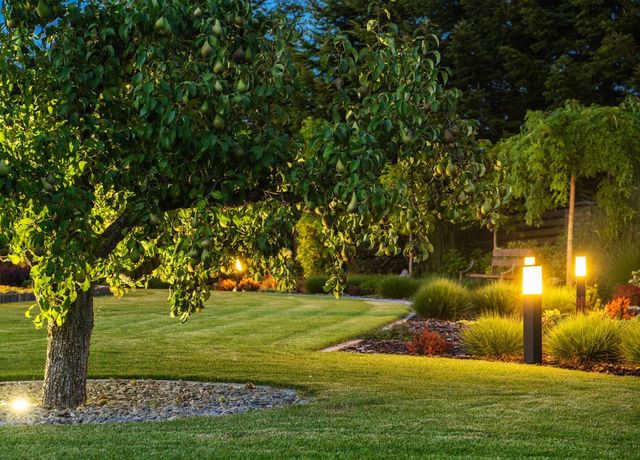 Beach Nature Outdoor Lighting