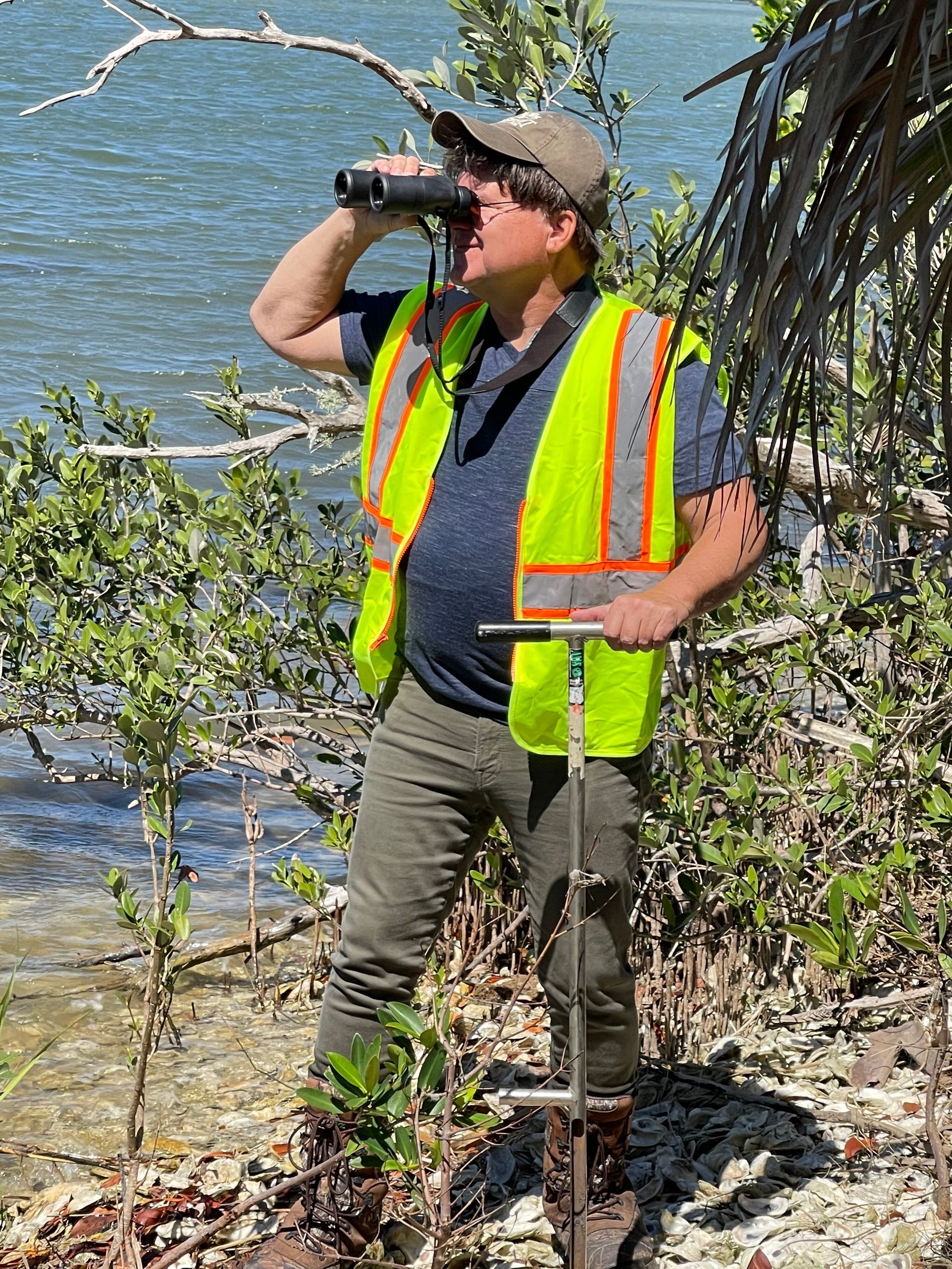 Environmental Consulting & Updates | Landquest Ventures
