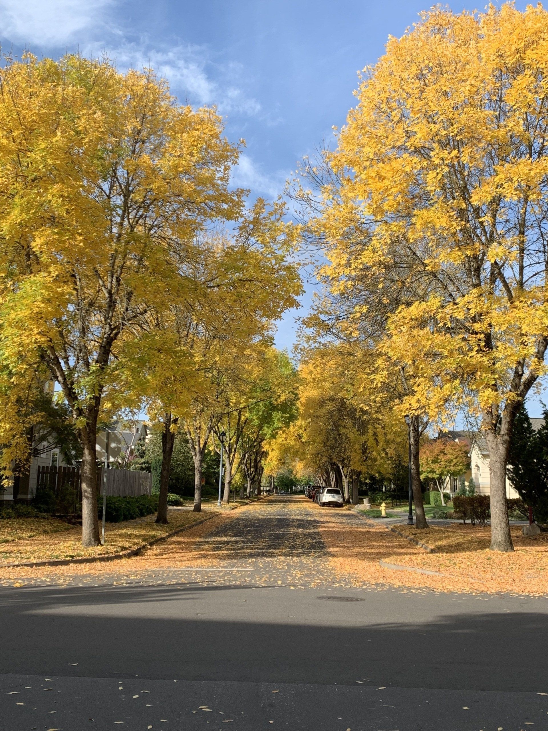 The Orenco Hotel | Orenco Station