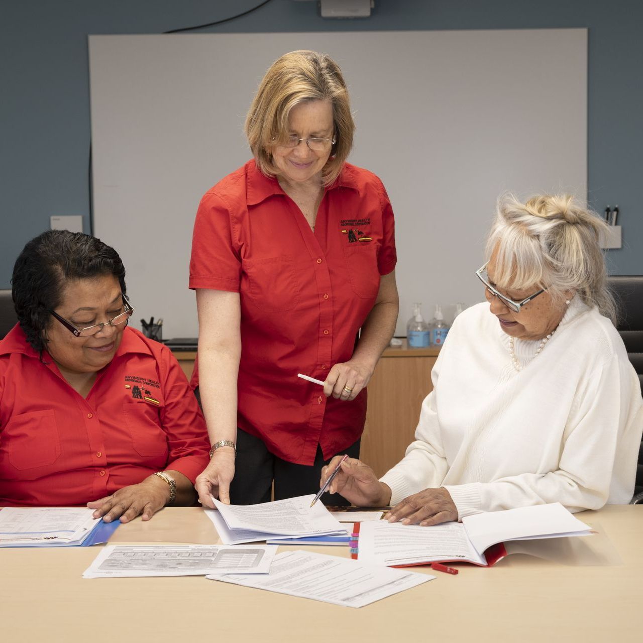 Programs & Services | Anyinginyi Health AHAC