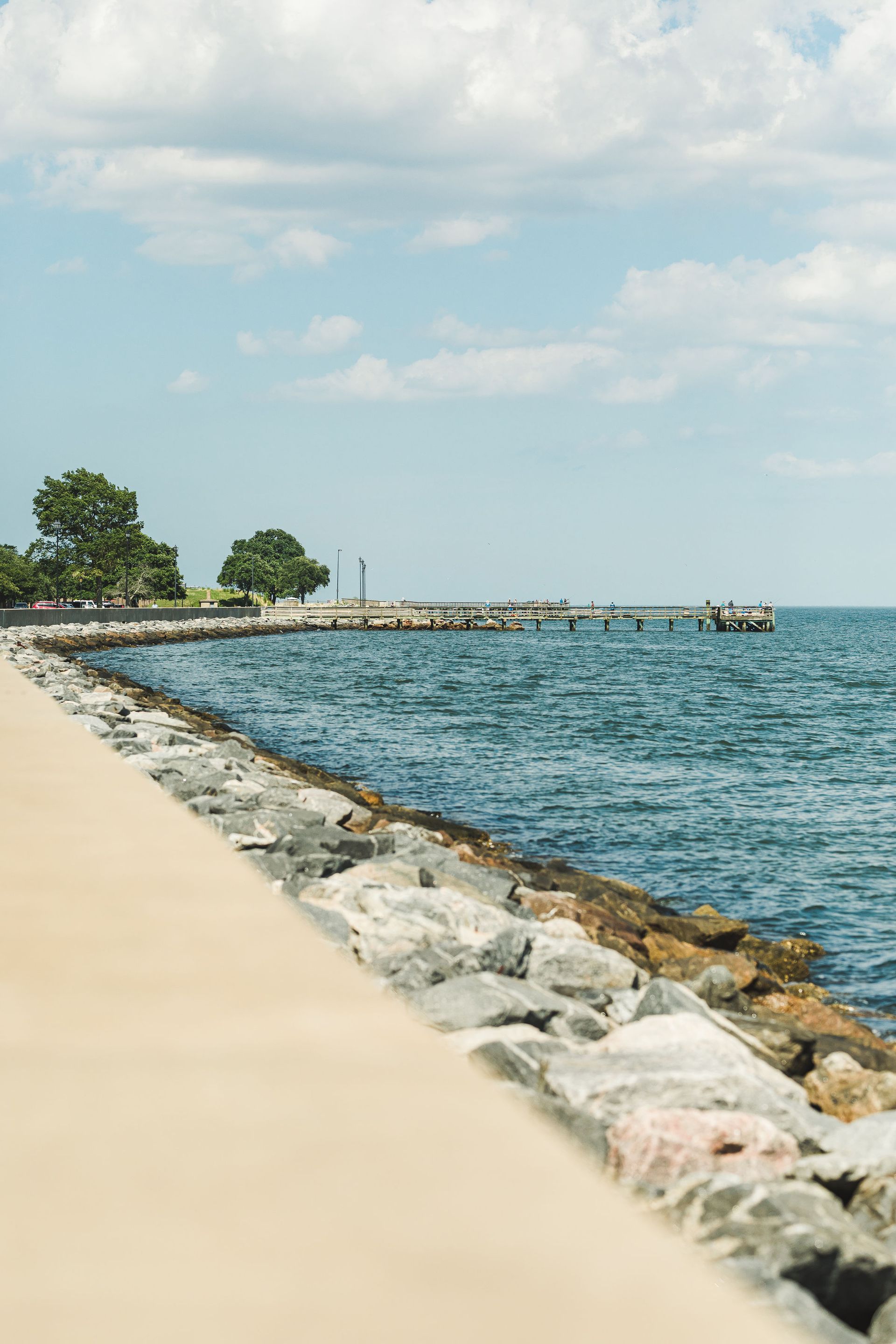 Home [www.hamptonharbortours.com]